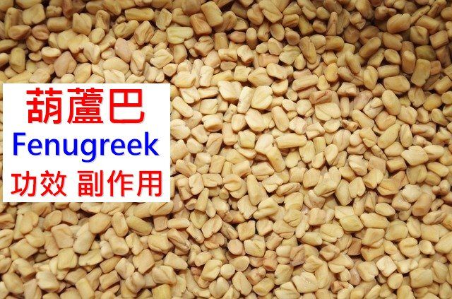 葫蘆巴的6種功效及副作用（9點使用禁忌請小心） - 營養新知